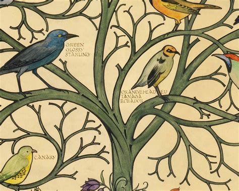 Songbirds Art Print Tree Of Life Tropical Bird Painting Etsy