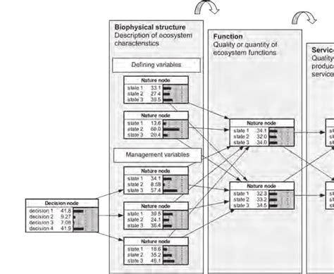 General Bayesian Belief Network Structure For Ecosystem Service