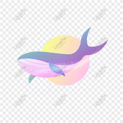 벡터 손으로 그린 만화 고래