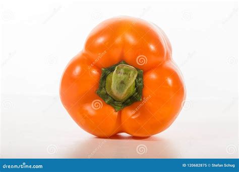 Pepper Bottom Tree Butts Stock Image Image Of Food 120682875