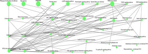 Pathway Pathway Network Of Colcs Biological Function Analysis