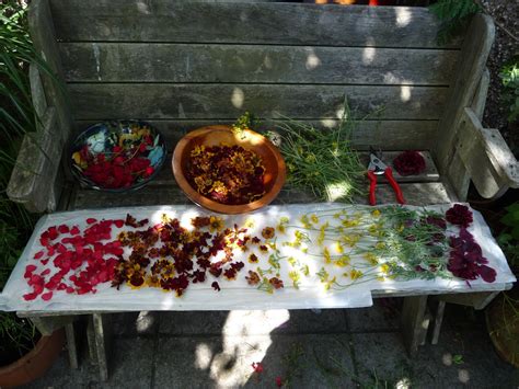 Wool Tribulations Of Hand Spinning And Herbal Dyeing Contact Dyeing With Plants On Silk And Wool