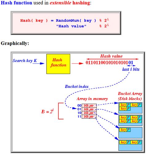 Comment Of The Terminology