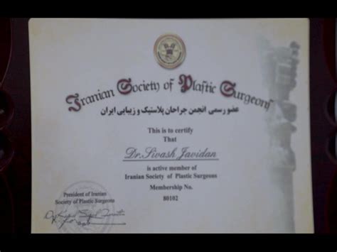 Dr Siavash Javidan Iranian Maestro Of Cosmetic Surgeries