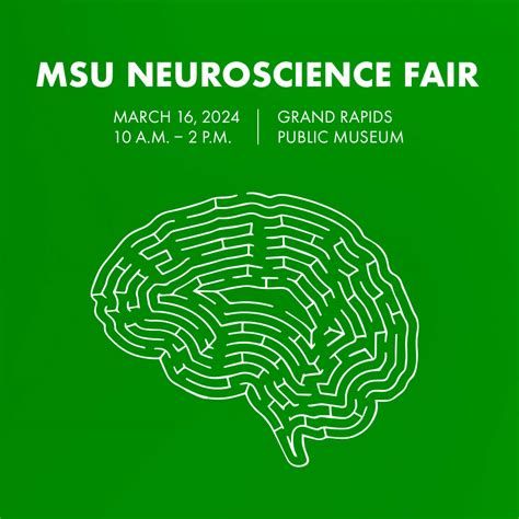 Msu Neuroscience Fair Grand Rapids Public Museum