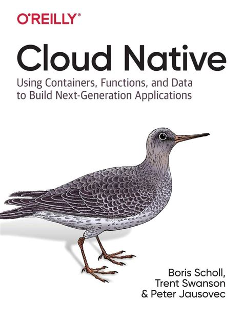 Download Cloud Native Using Containers Functions And Data To Build
