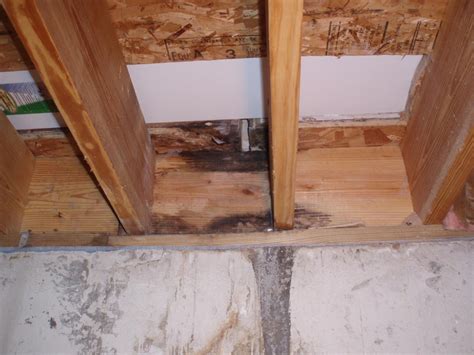 How Much Does It Cost To Replace Rotted Floor Joists Floor Roma