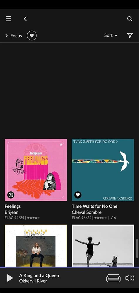 Memory Leak In Andorid App Support Roon Labs Community