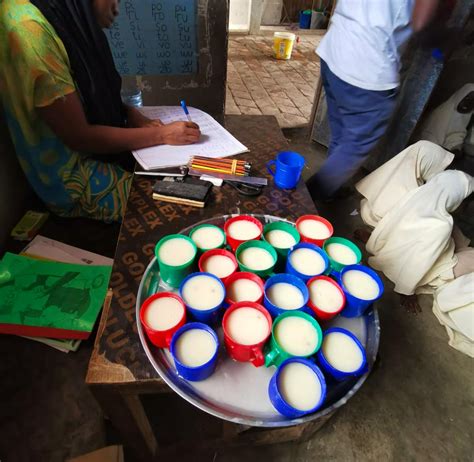 Pre And Primary School Assistant Volunteer In Tanzania 2025