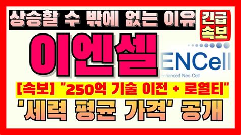 이엔셀 주가전망 긴급 상승할 수 밖에 없는 이유 250억 기술로열티 본격적 돈 잔치 세력들의 평균 단가까지 공개합니다 이엔셀 9월 Youtube