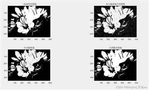 Matlab形态学的基本运算膨胀和腐蚀（开、闭运算）matlab腐蚀 Csdn博客