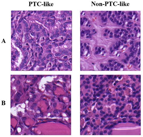 Illustrates Synthetic Images Generated By Gans Trained On Binary Download Scientific Diagram