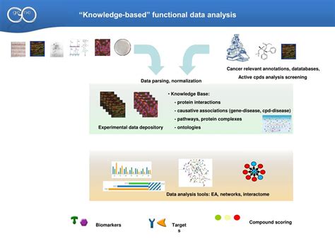 Ppt Metacore Data Analysis Suite And Functional Analysis Powerpoint