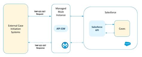TMF621 V5 Use Cases Use Cases Communications Cloud TM Forum API Salesforce Developers
