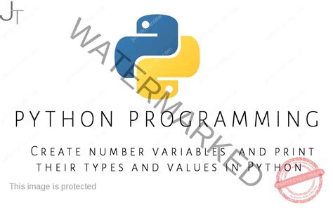 Create Number Variables And Print Their Types And Values In Python Just Tech Review
