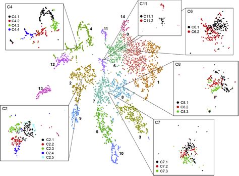 Analysis Of Plant Scrna Seq Data With Scanpy