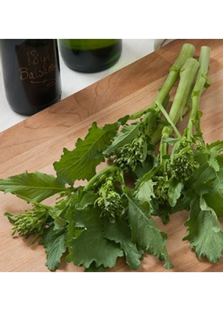 Spring Rapini Broccoli Category