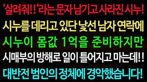 실화사연 살려줘라는 문자 남기고 사라진 시누 시누를 데리고 있단 낯선 남자 연락에 시누이 몸값 1억을 준비하지만 노후 사연 오디오북 인생이야기 Youtube