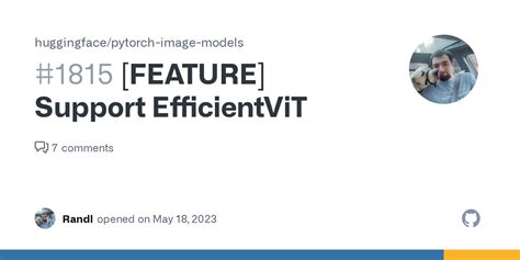 FEATURE Support EfficientViT Issue 1815 Huggingface Pytorch
