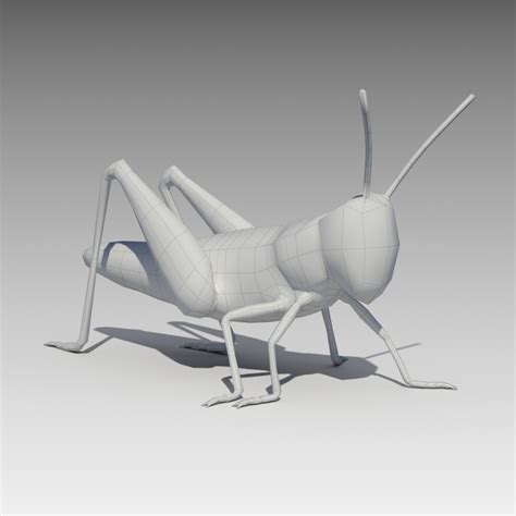 Max Grasshopper Animations