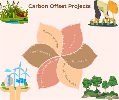 Navigating Carbon Offset Projects Your Path To Climate Action
