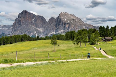 Alpe Di Siusi Seiser Alm Dolomites Bild Kaufen 71202927 Lookphotos