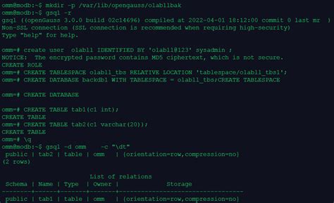 Opengauss每日一练第20天 逻辑备份和恢复 墨天轮