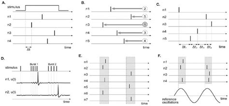 brain inspired spiking neural networks intechopen
