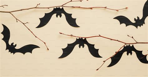 파스텔 베이지색 배경에 할로윈 종이 장식 나뭇가지에 앉아 있는 검은 박쥐 할로윈 개념입니다 플랫 레이 평면도 복사 공간 사진 Unsplash의 흡혈귀 이미지