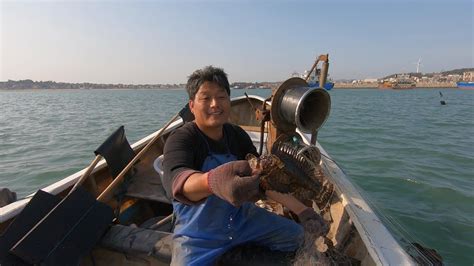 阿阳出海抓到名贵“毒鱼”，一斤就卖400多块，好久没这么激动了 Youtube