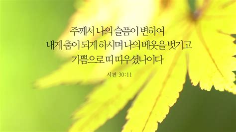 [무료저작권 No Copyright 오늘의 말씀] 기독교 바탕화면 가을 햇빛 낙엽 소니a99ii Youtube