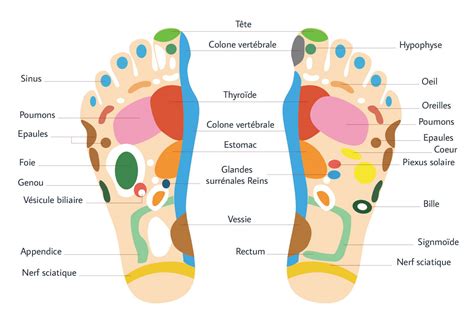 Réflexologie Plantaire Auto Massage Des Pieds Karlandmax Karlandmax