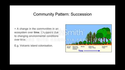 Community Patterns Zonation Succession And Stratification Youtube