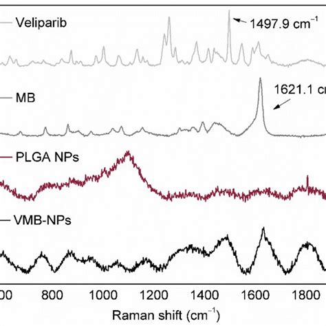 Raman Spectra Of Nps Suspensions Plga Nps And Vmb Nps And Mb And
