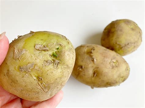 じゃがいもで食中毒。危険なのは芽だけじゃない！ 冷蔵庫ngって知ってた？【医師監修】 Hugkum（はぐくむ）