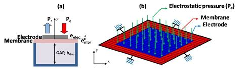 A Representation Of Cmut Cell And Definition Of The Geometric