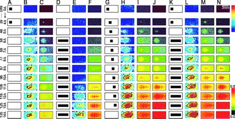 7 Spatiotemporal Pattern Of The Cortical Activity Corresponding To The Download Scientific