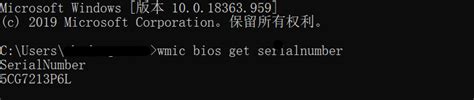 Winmaclinux 获取主机序列号命令mac 查看主机序列号命令 Csdn博客