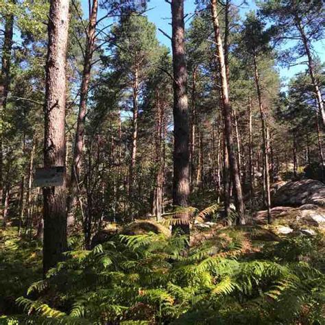 퐁텐 블로 협곡 프랜차 드 In Île De France Walking Map