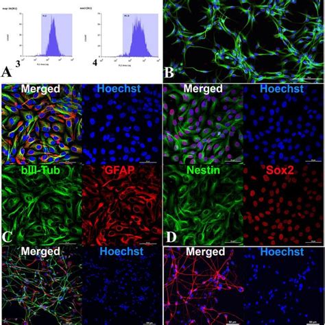 Analysis Of Structure Alignment Using Image Fft And Second Order