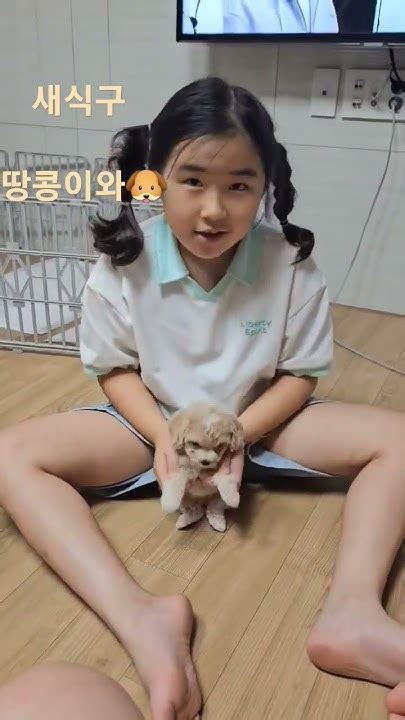 말티푸 꽁꽁얼어붙은한강위로고양이가걸어다닙니다 꽁꽁얼어붙은한강위로땅콩이가걸어다닙니다 귀여운강아지 아기강아지 2개월 말티푸놀이 Youtube