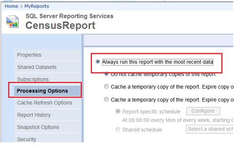 Sqlcircuit Ssrs How To Create Report Snapshot And How To Utilize It