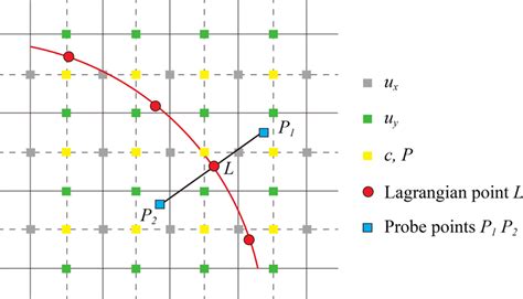 Schematic Illustration Of The Immersed Boundary Method With Staggered Download Scientific