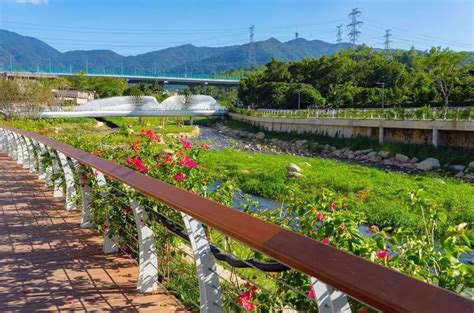 又一打卡好去处梧桐山河正坑水碧道正式开通