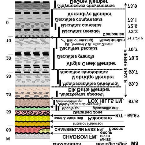 Composite Columnar Section Showing Pre White River Group Stratigraphy Download Scientific Diagram