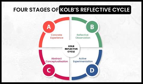 What Is Kolb Reflective Cycle Heres An Ultimate Guide