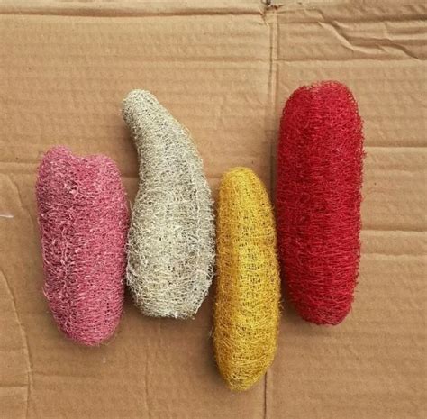Natural Loofah Sponge Lufa Gentle At ₹ 11 Piece In North Dumdum Id 2853103180297
