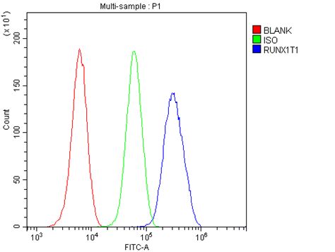 Anti Runx1t1 Eto Antibody Picoband™ Bosterbio