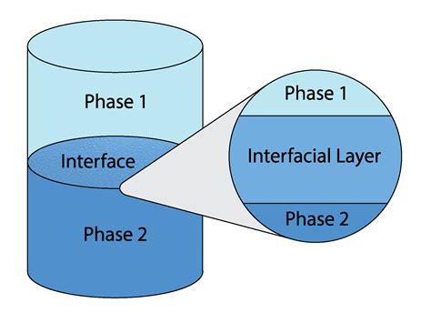 What Role Do Interfacial Characteristics Play In Enhancing Adhesion Between Polymer Phases In