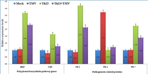 Figure 5 From Trichoderma Hamatum Strain Th23 Promotes Tomato Growth And Induces Systemic